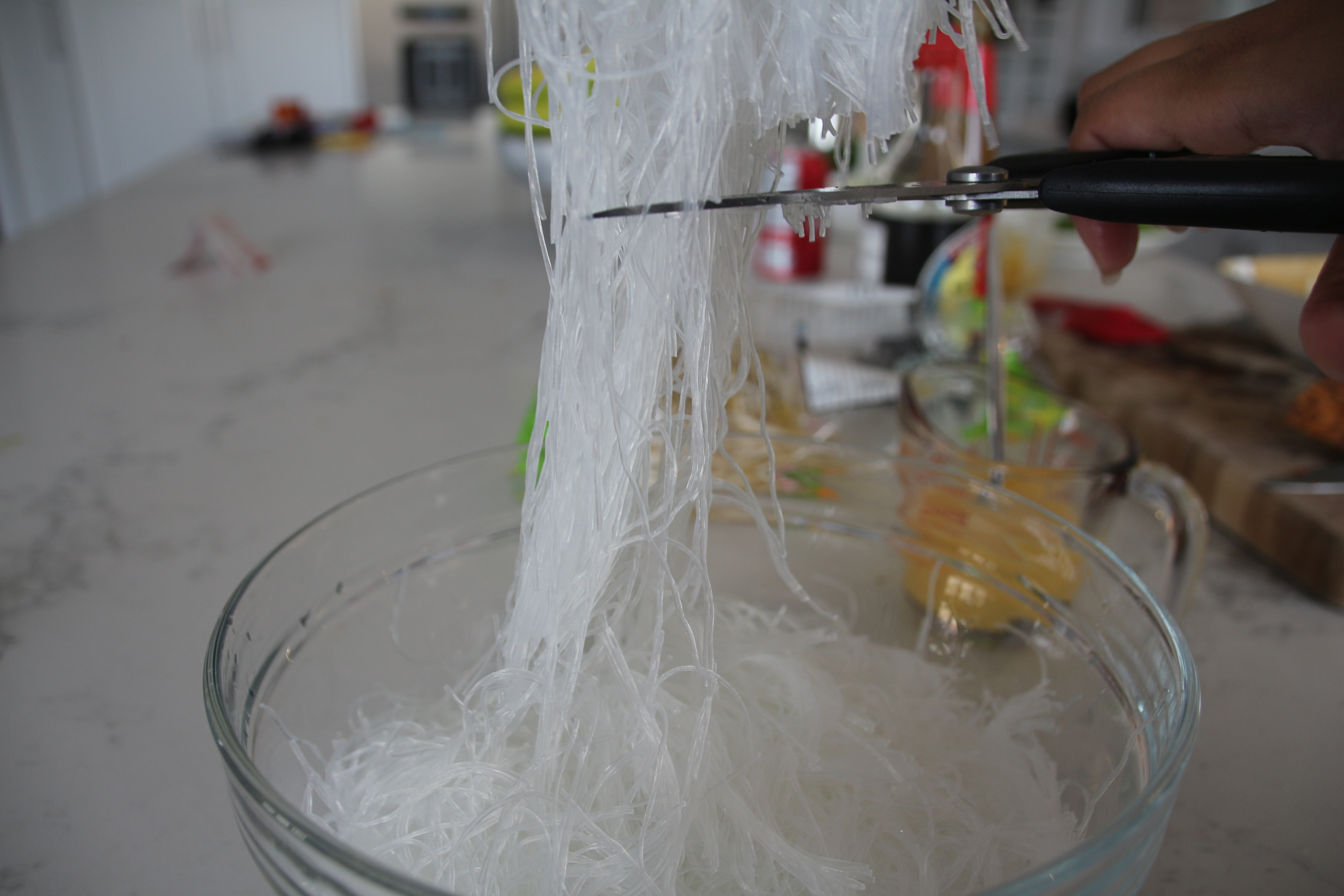 Thai Mung Bean Noodles – A Wee Bit of Garlic